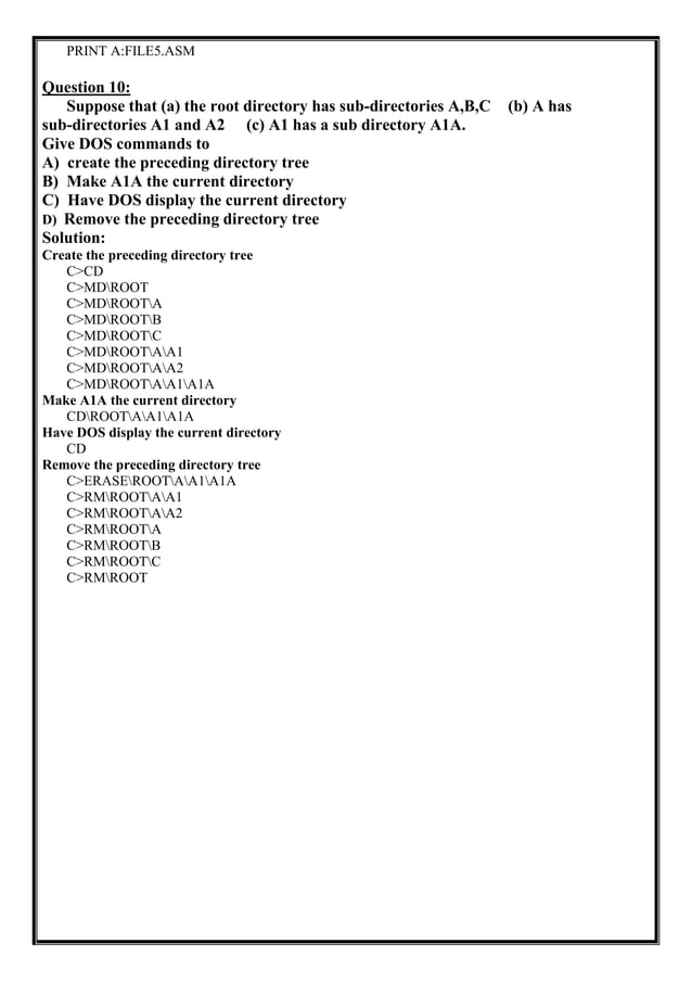 Organization of the ibm personal computers | PDF | Data Storage and ...