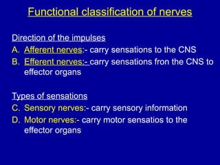 organization of the Nervous System lecture 1..pptx