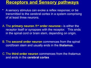organization of the Nervous System lecture 1..pptx