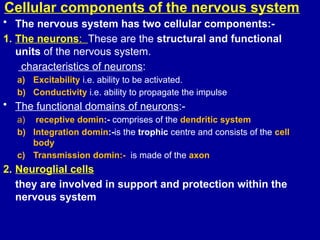 organization of the Nervous System lecture 1..pptx