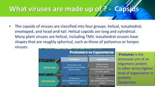 Organization of viral genome.pptx prepared | PPTX