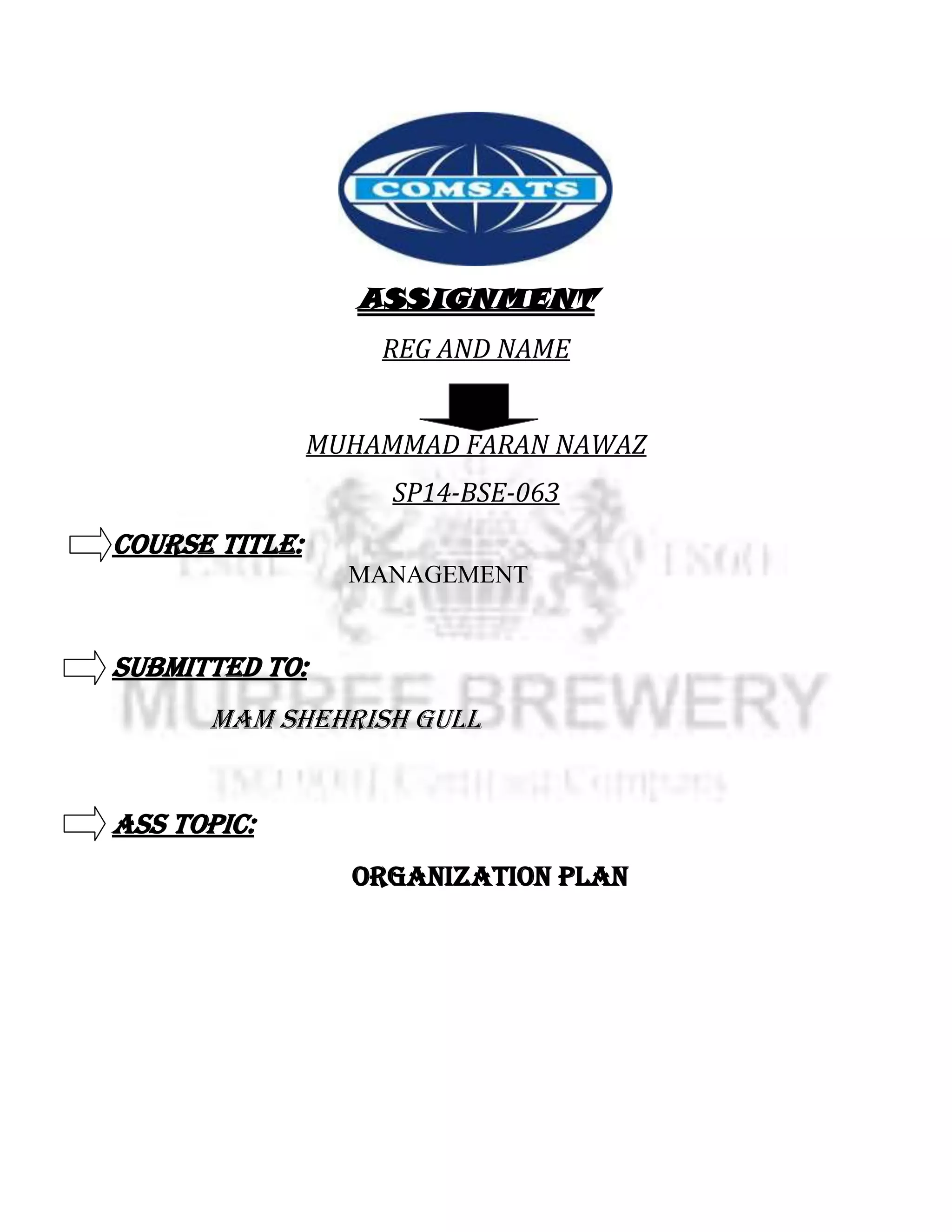 Organization plan of murree brewery | DOCX