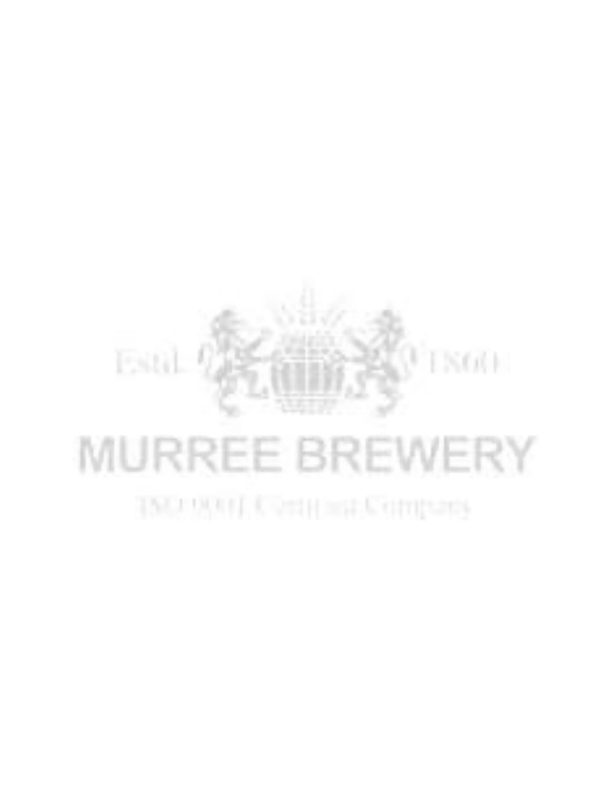 Organization plan of murree brewery | DOCX