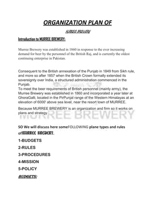 Organization plan of murree brewery | DOCX