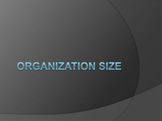 Organization size | PPTX