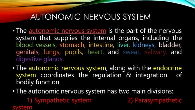 organizations of autonomic nervous systems..pdf