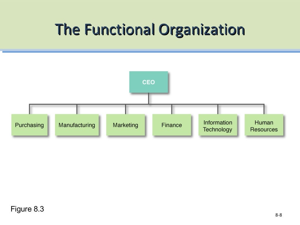 Organization structure