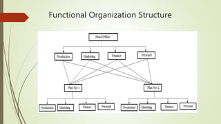 Organization structure | PPTX