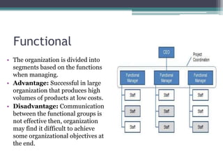 Organization structure & IT | PPTX