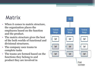 Organization structure & IT | PPTX