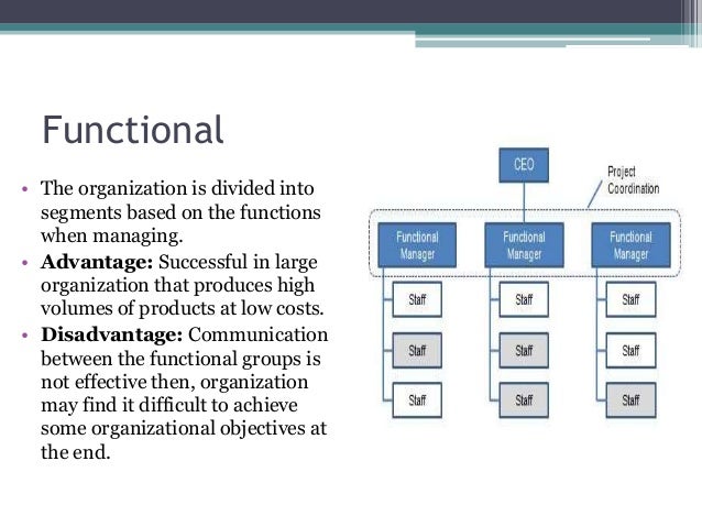 Organization structure & IT