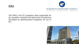 Organization structure of EMA and EDQM active Substance Master File.pptx