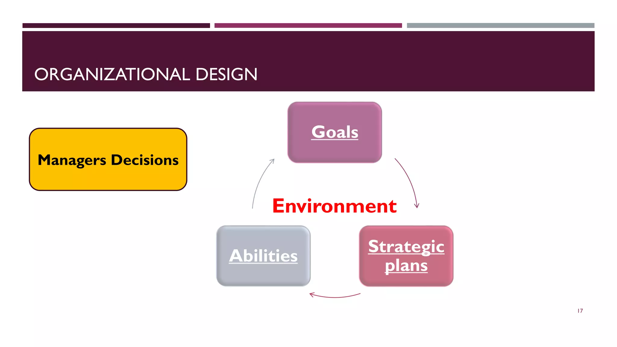 Organization structure | PPT