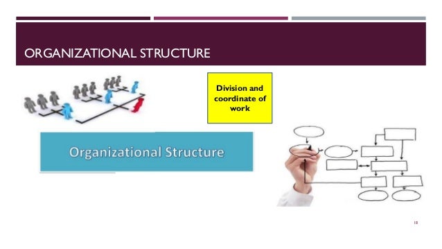 Organization structure