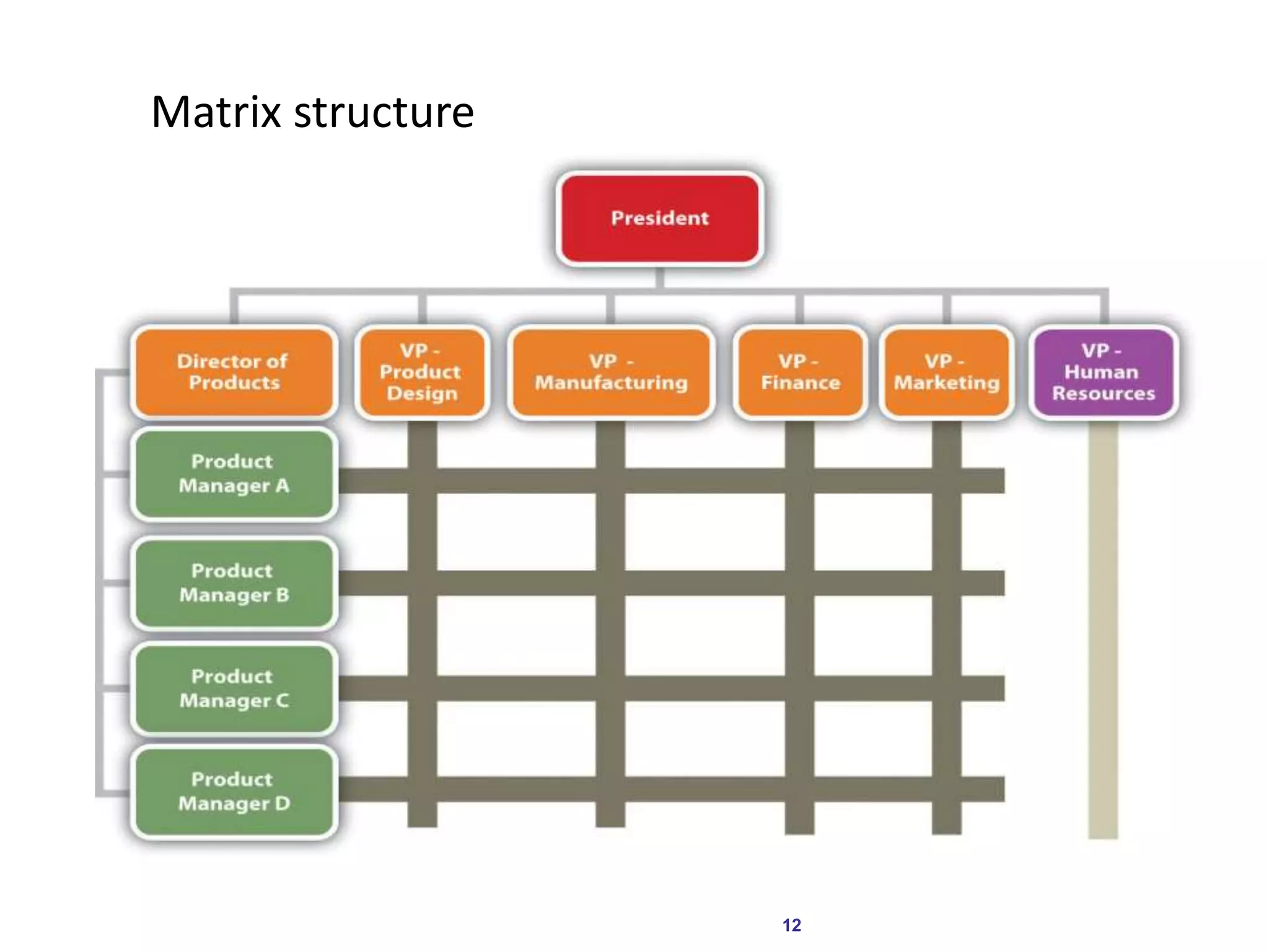 Organization Structure ppt.pptx