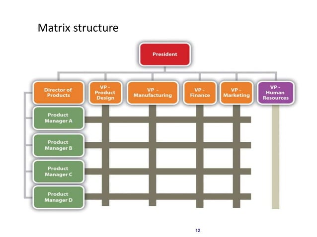 Organization Structure Ppt Pptx