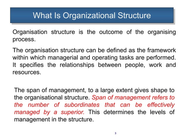 Organization Structure ppt.pptx
