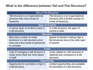 Organization Structure ppt.pptx