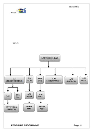 Organization study in kmf, hassan | DOC