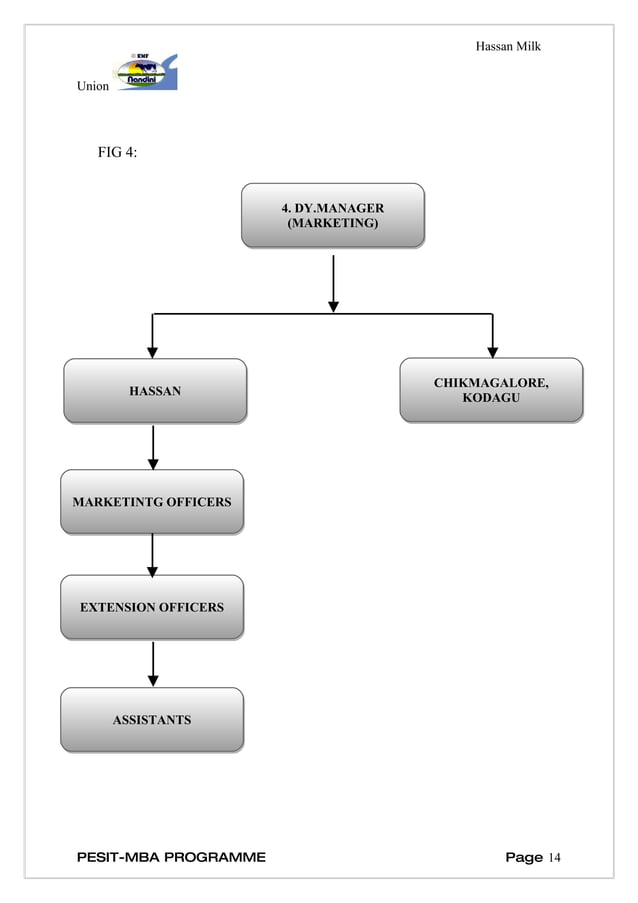Organization study in kmf, hassan | DOC | Agriculture | Industries