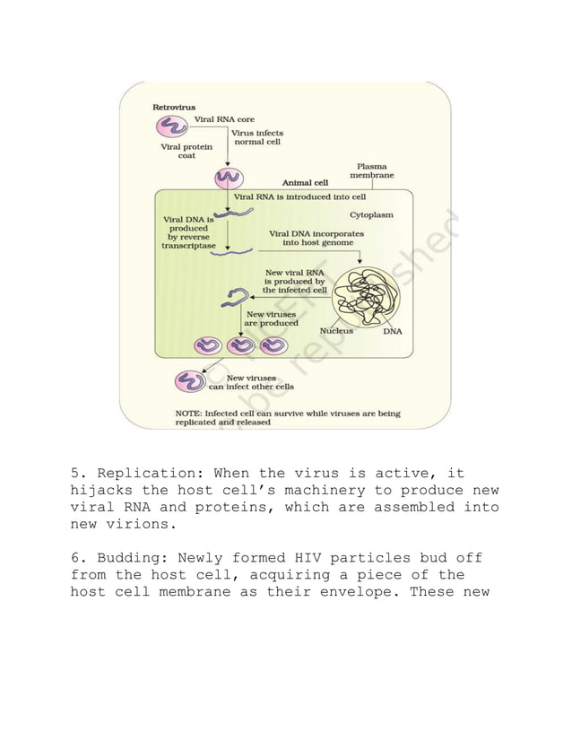 Project Report on AIDS. Class 12 CBSE Science (Biology) project. | PDF