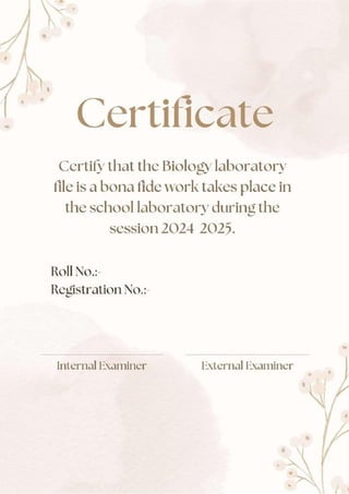 Project Report on AIDS. Class 12 CBSE Science (Biology) project. | PDF