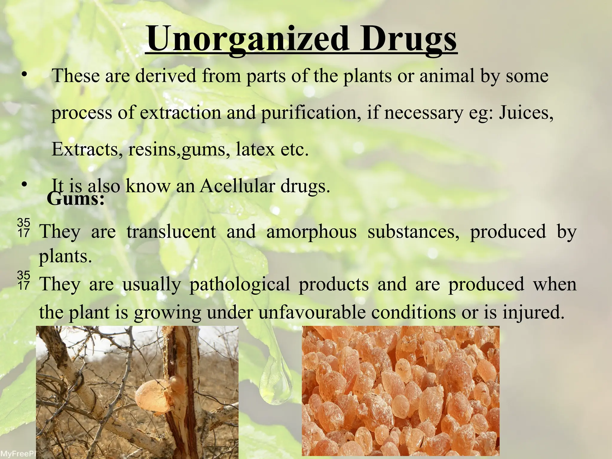 organized and unorganized drugs given by Aliza rizvi pptx | PPTX