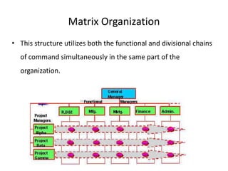 Organizing: Concept, Types, Organization Structure Decision | PPTX