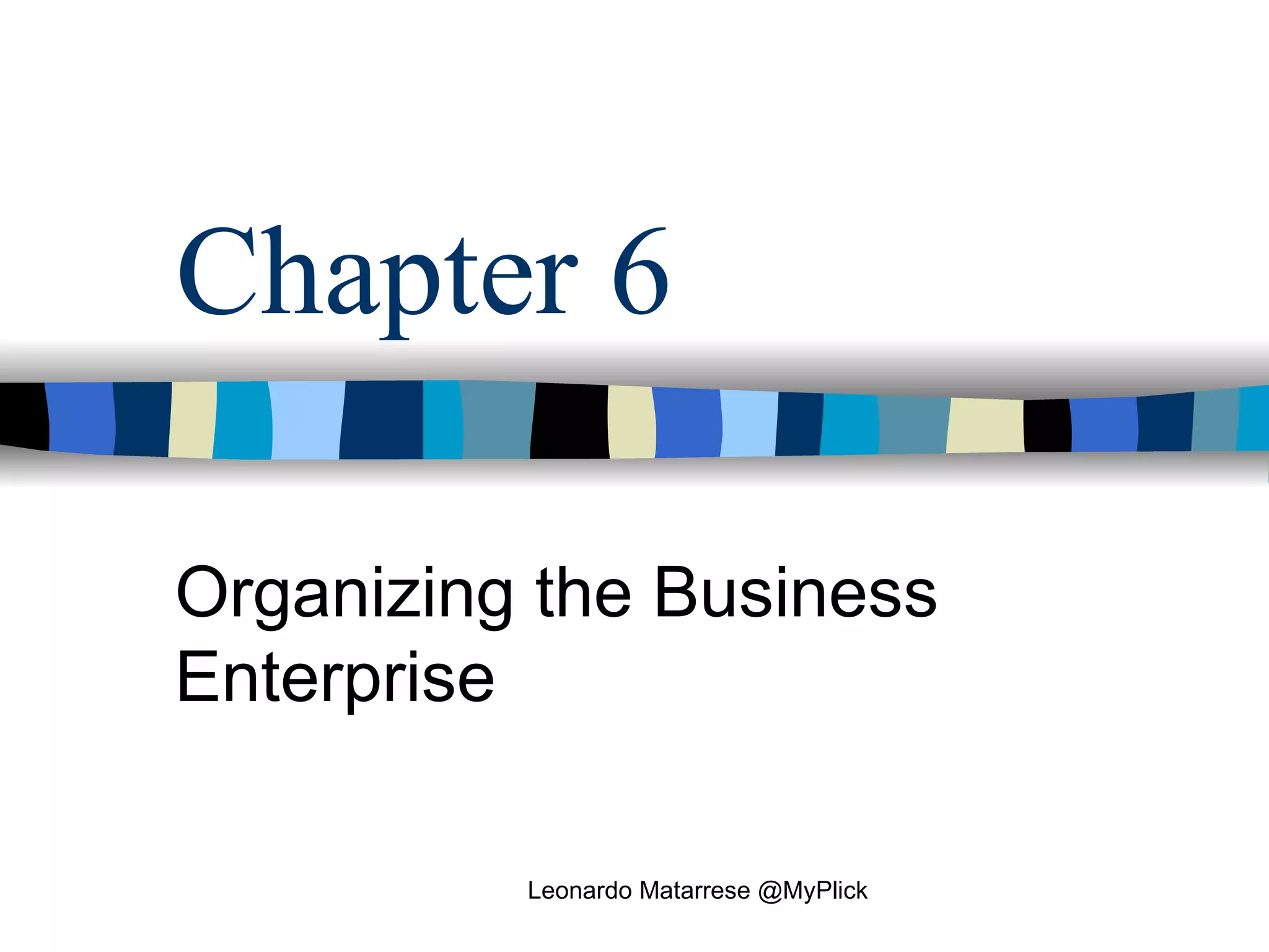 Organizing The Business Enterprise Leonardo Matarrese | PPT