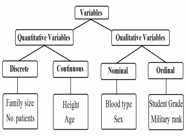 Organizing And Displaying Data