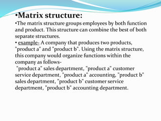Organizing and Organizational Structure | PPT
