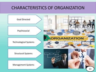 Managerial Function-Organizing | PPT
