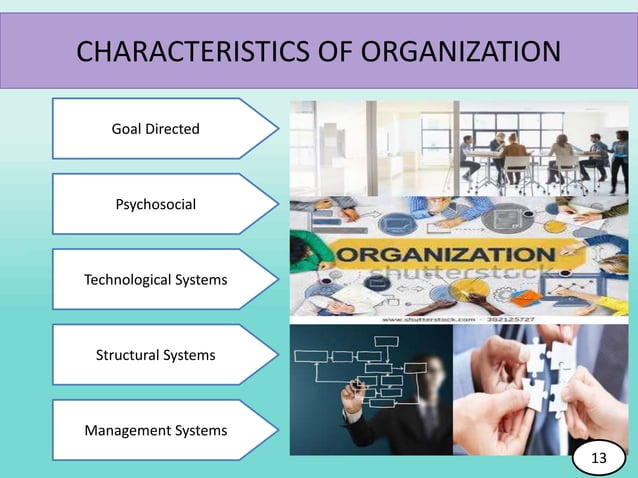Managerial Function-Organizing | PPT