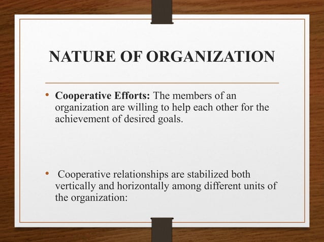 Organizing in management | PPT
