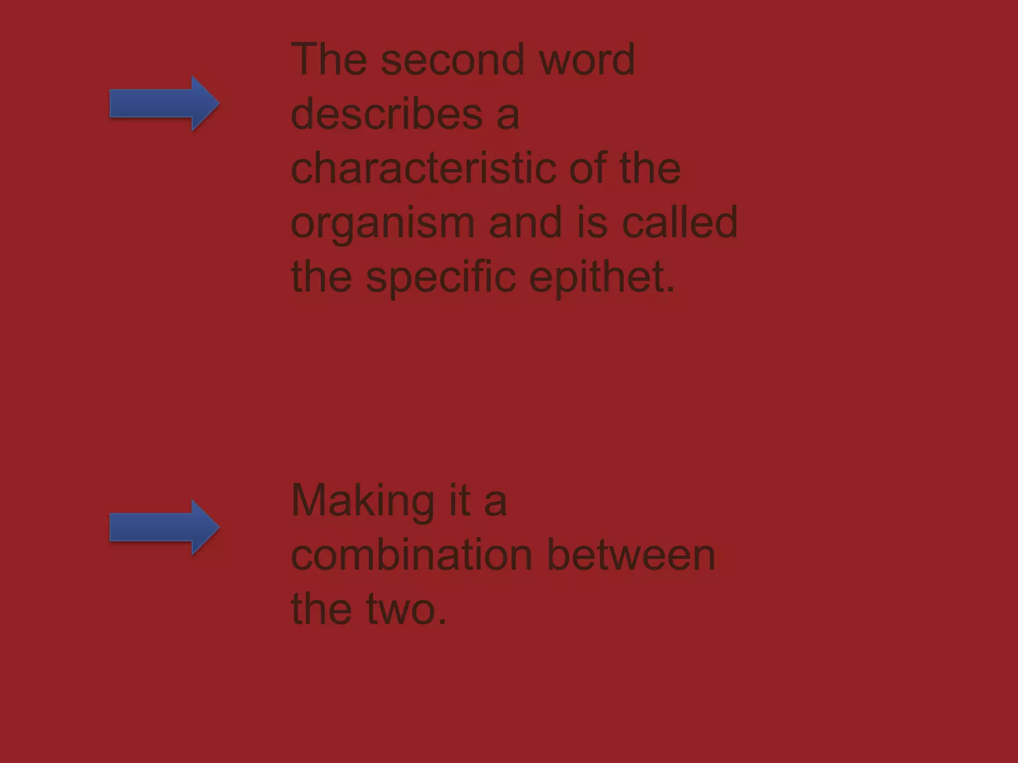 Organizing Life’S Diversity | PPTX