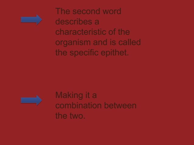 Organizing Life’S Diversity | PPTX | Biological Sciences | Science