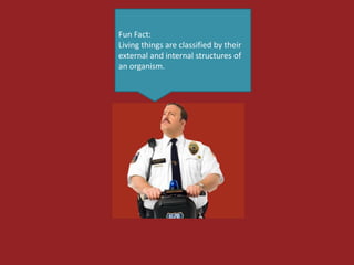 Organizing Life’S Diversity | PPTX