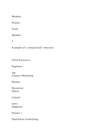 ORGANIZING THE INTERNATIONAL PROJECT Chapter 6.docx
