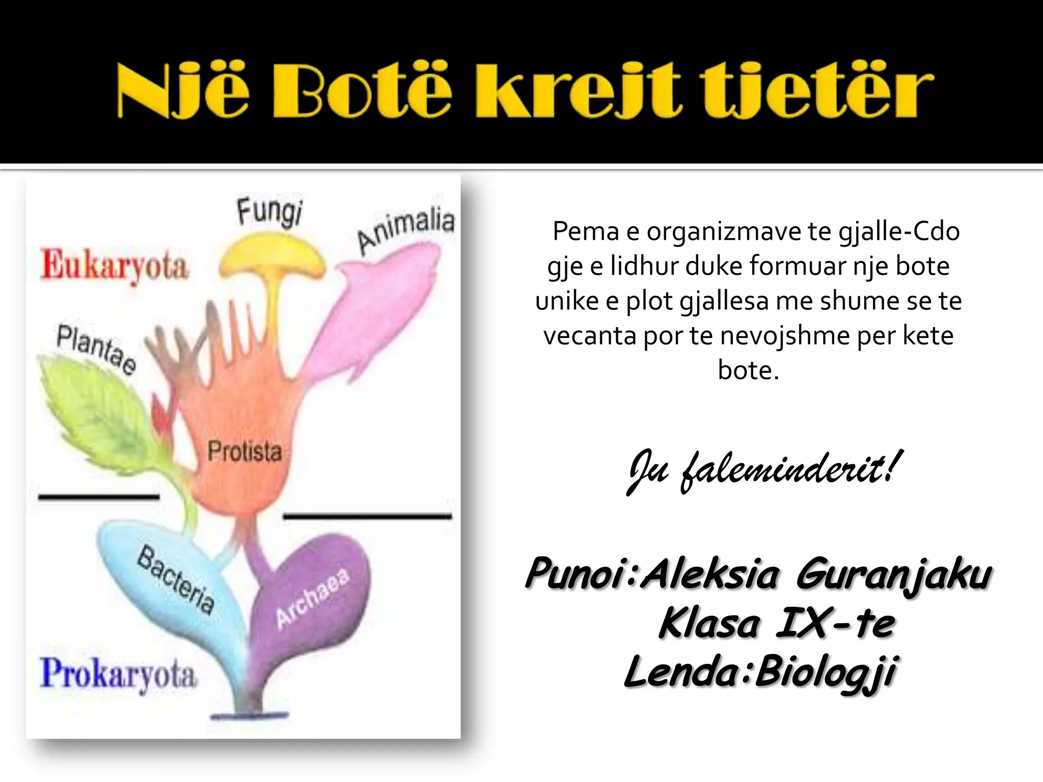 Organizmat njëqelizorë Aleksia Guranjaku Klasa IX shkolla "Albanet" | PPTX