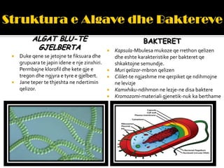 Organizmat njëqelizorë Aleksia Guranjaku Klasa IX shkolla "Albanet" | PPTX