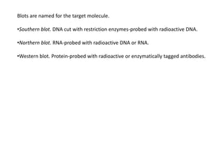 Organochemical gene synthesis, blotting techniques | PPTX