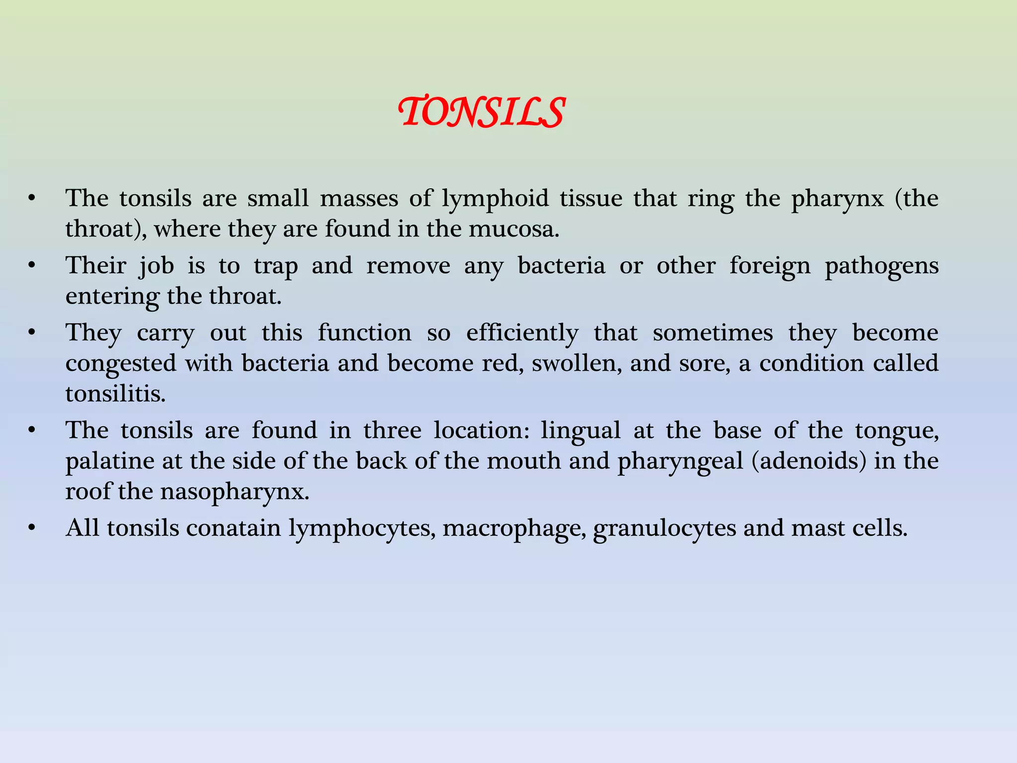 Organ of immune system | PPTX