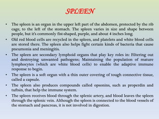 Organ of immune system | PPTX