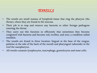 Organ of immune system | PPTX