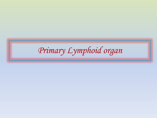 Organ of immune system | PPTX