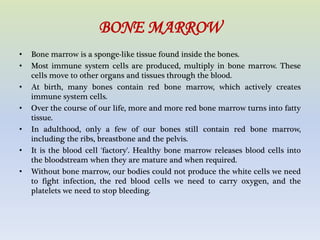 Organ of immune system | PPTX