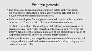 Organo genesis, Embryo genesis, Synthetic seeds | PPTX | Science