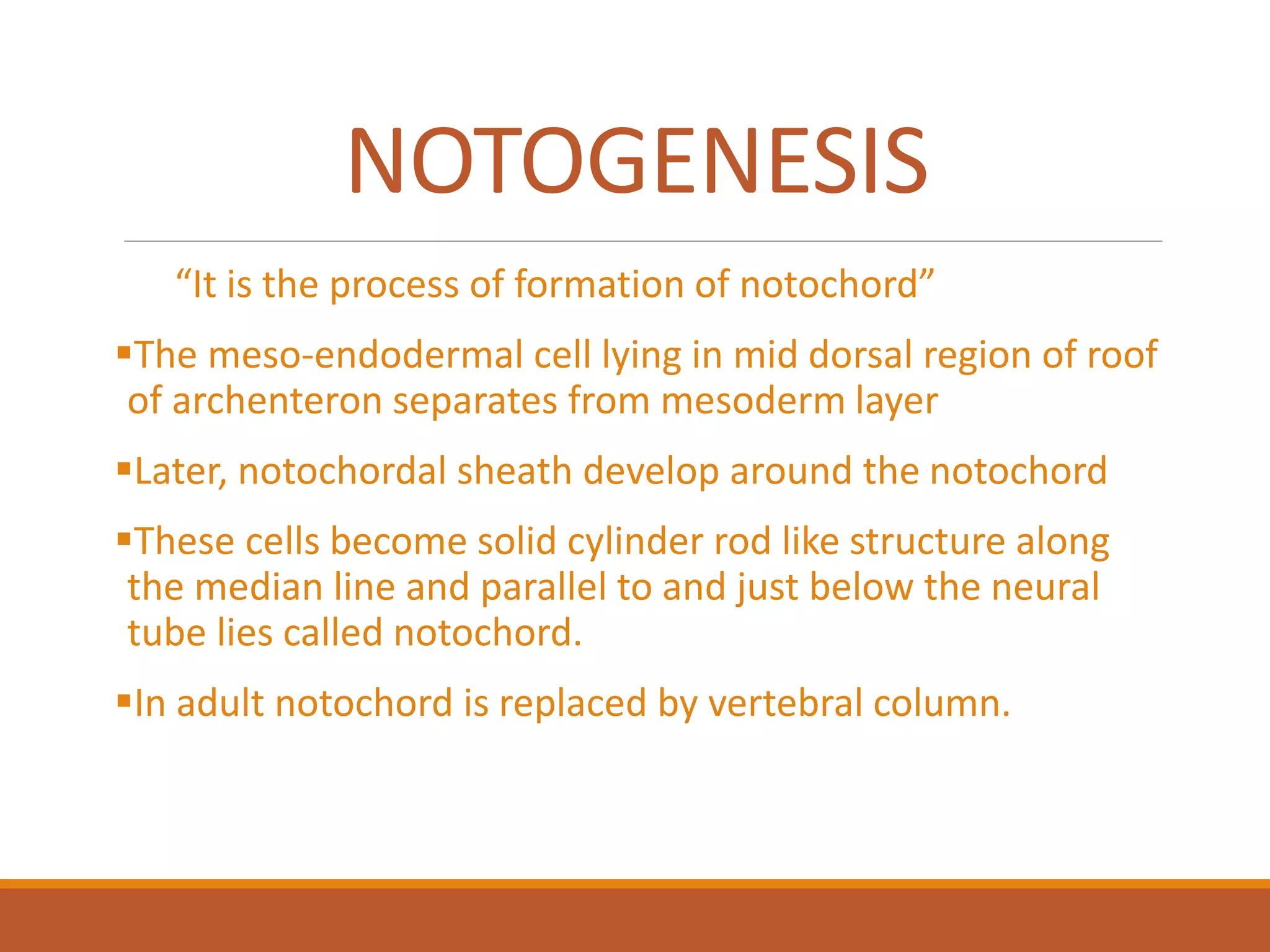 Organogenesis by AAR | PPTX