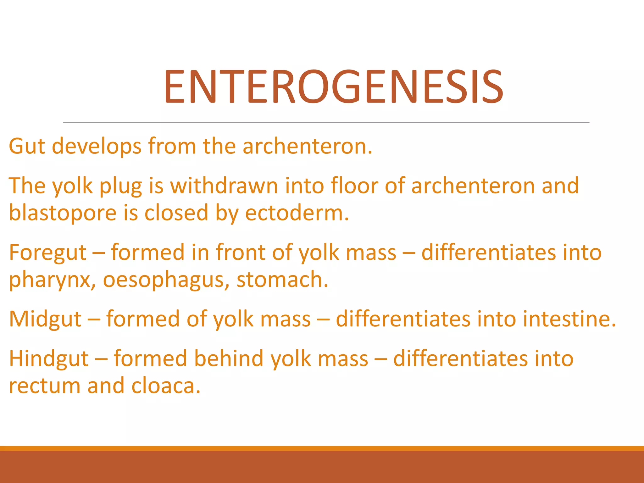 Organogenesis by AAR | PPTX