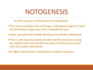 Organogenesis by AAR | PPTX